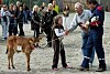 Lene (10) hadde finaste kalven
